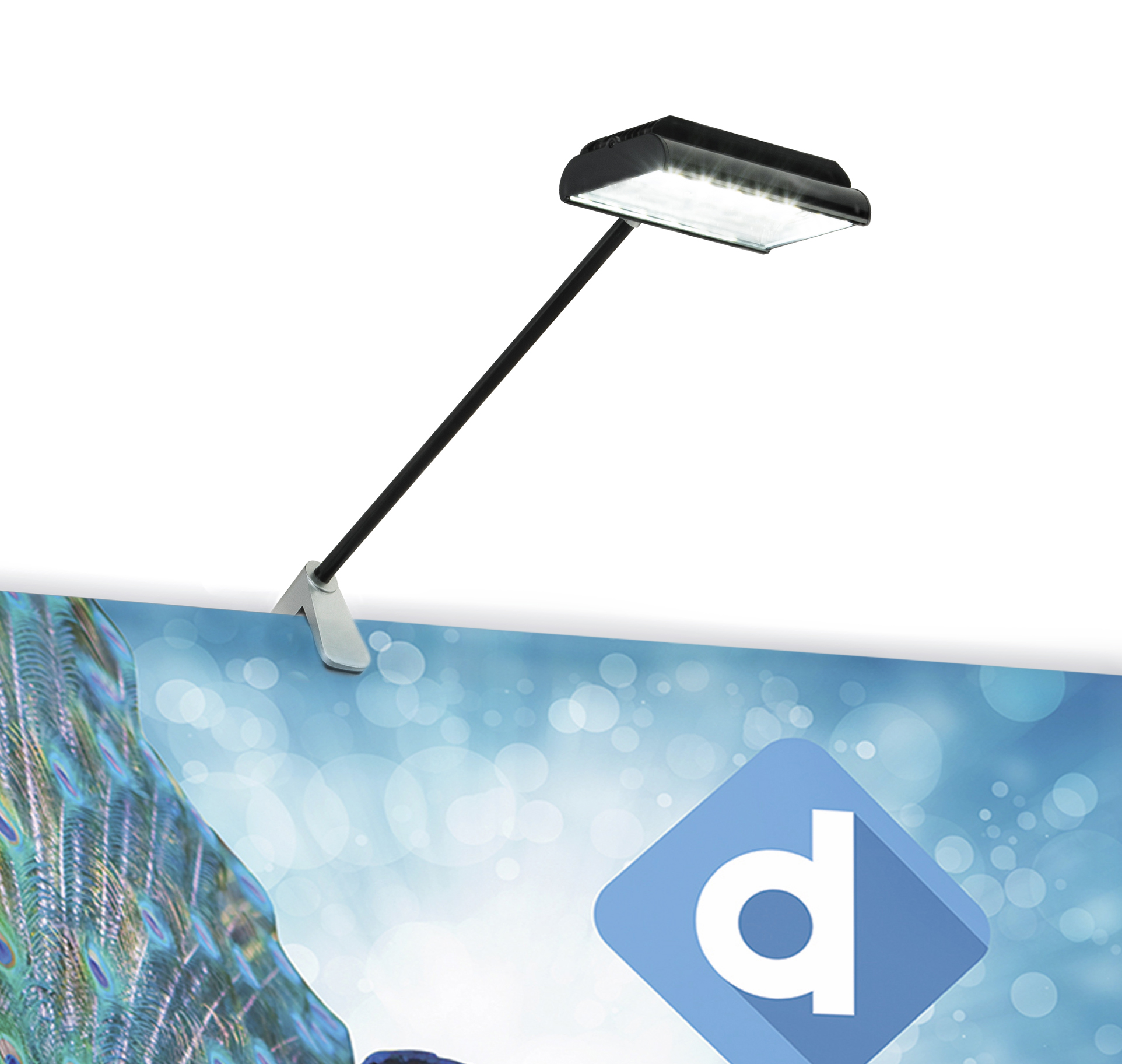 LED Exhibit Stem Light | Set of 2 with Black Finish | Displays2Go