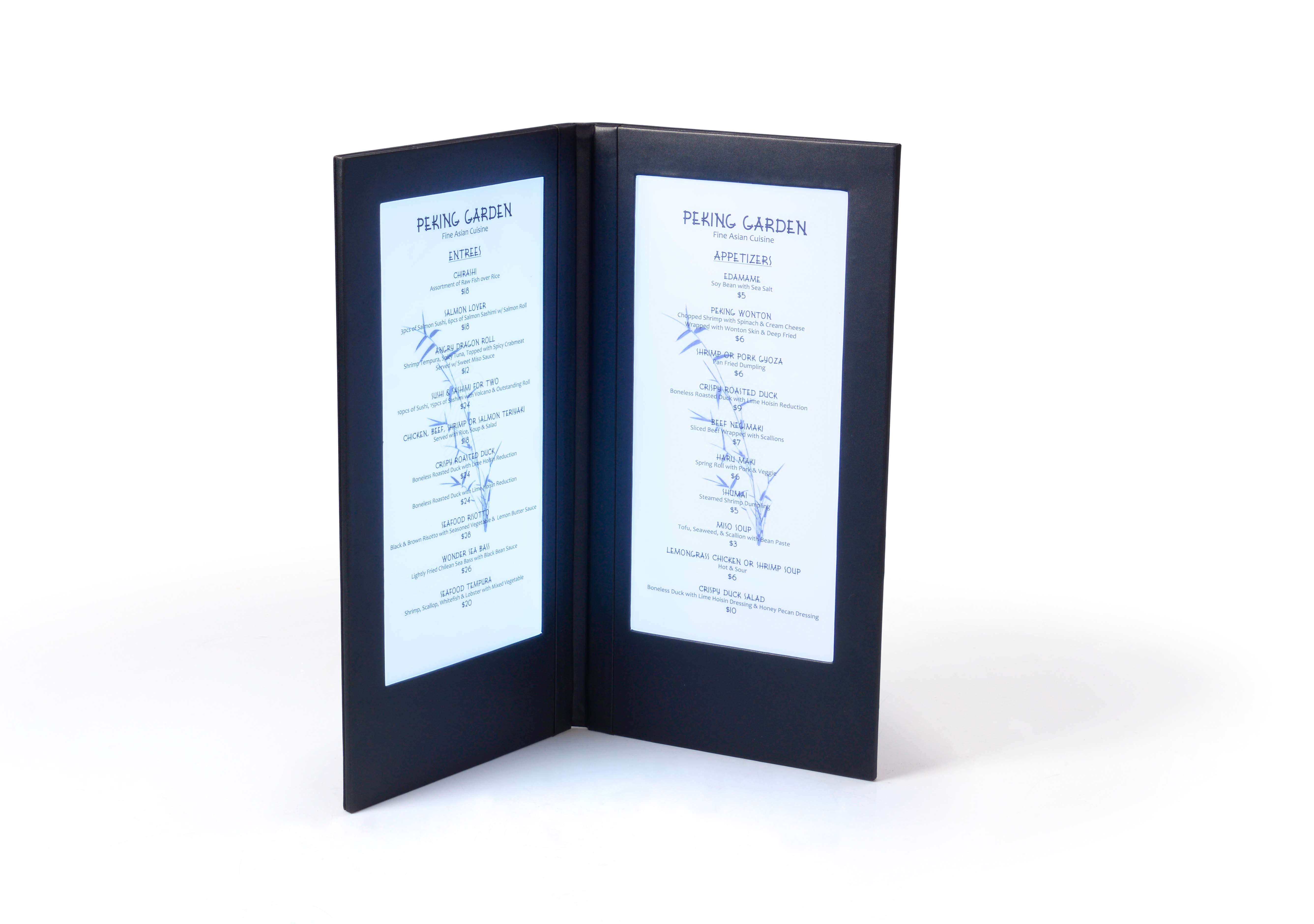 Lighted Menu | LED Illuminated (2) Page Book | Displays2Go