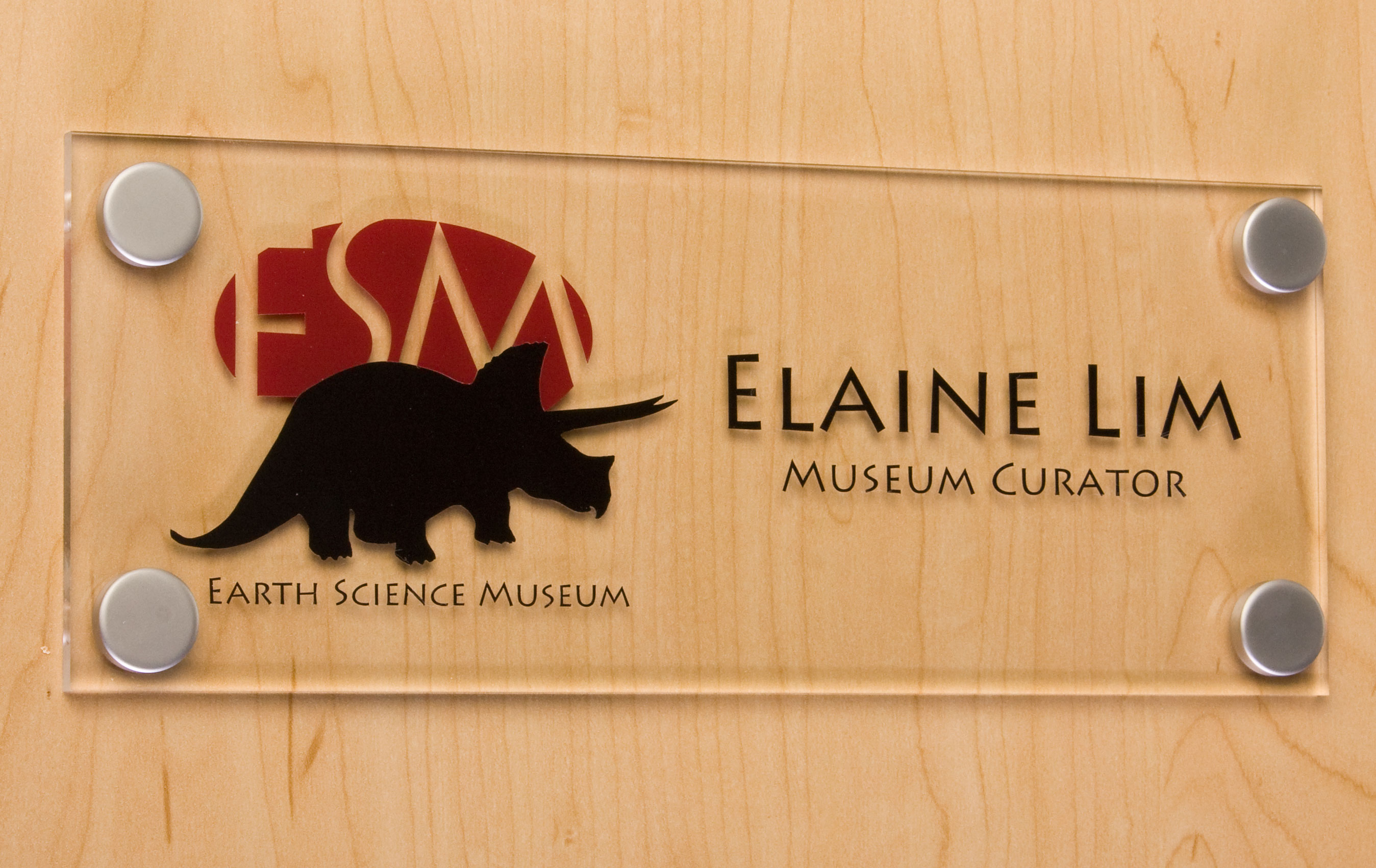 Sign Fixings - Satin Silver Wall Mounts | Displays2go