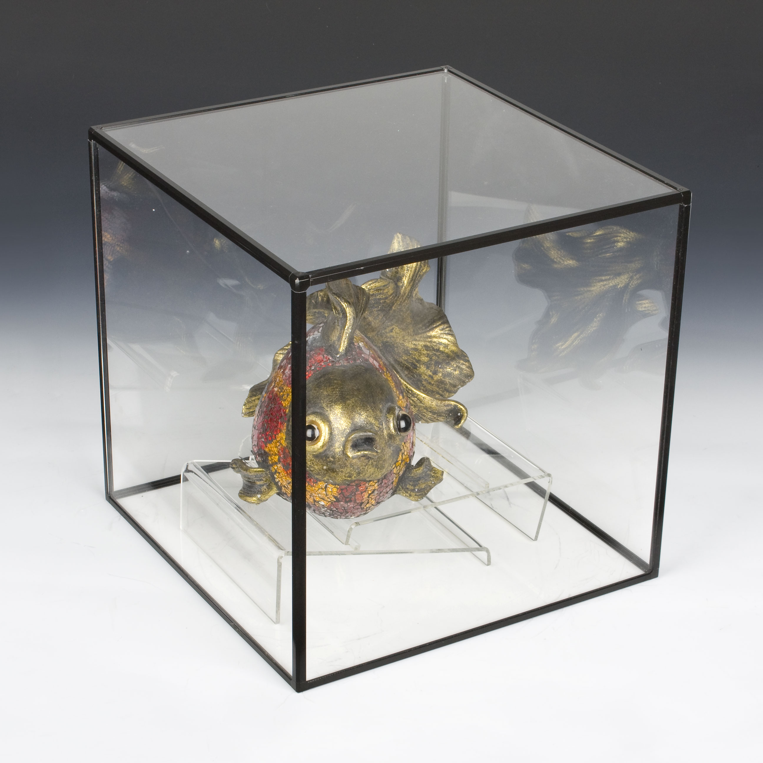Collectible Case | Black Aluminum Framing Display | Displays2Go