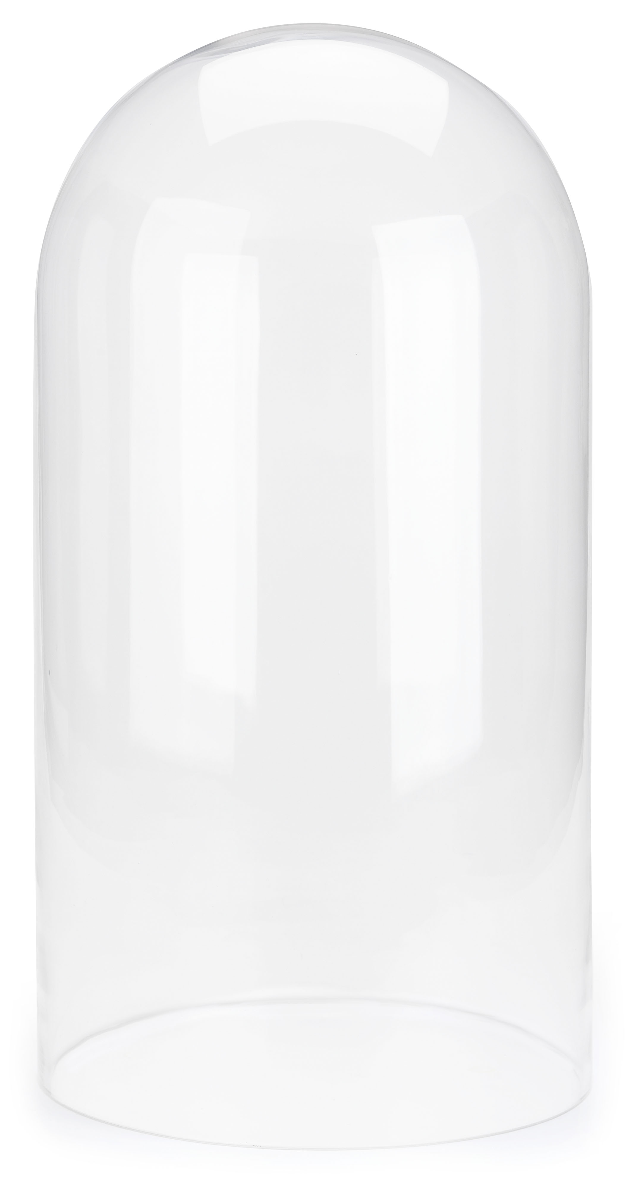 Glass Dome Cover | Baseless Bottom | Displays2Go