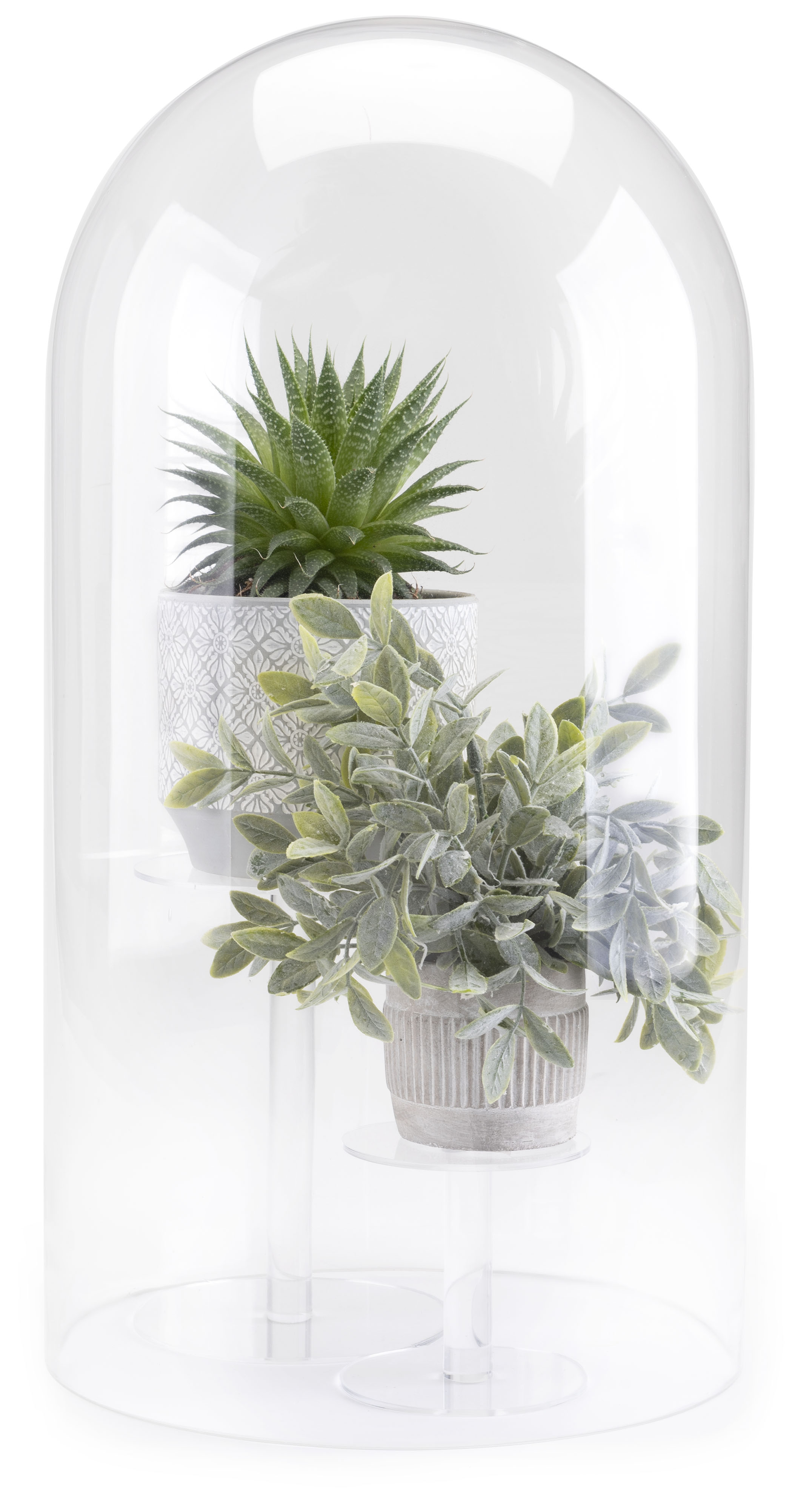 Glass Dome Cover | Baseless Bottom | Displays2Go