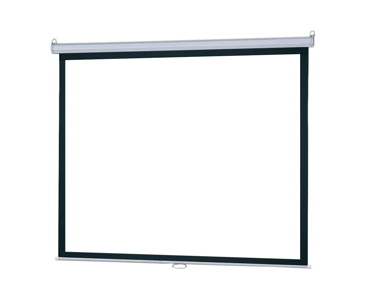Projector Screen - 120" Diagonal | Displays2Go