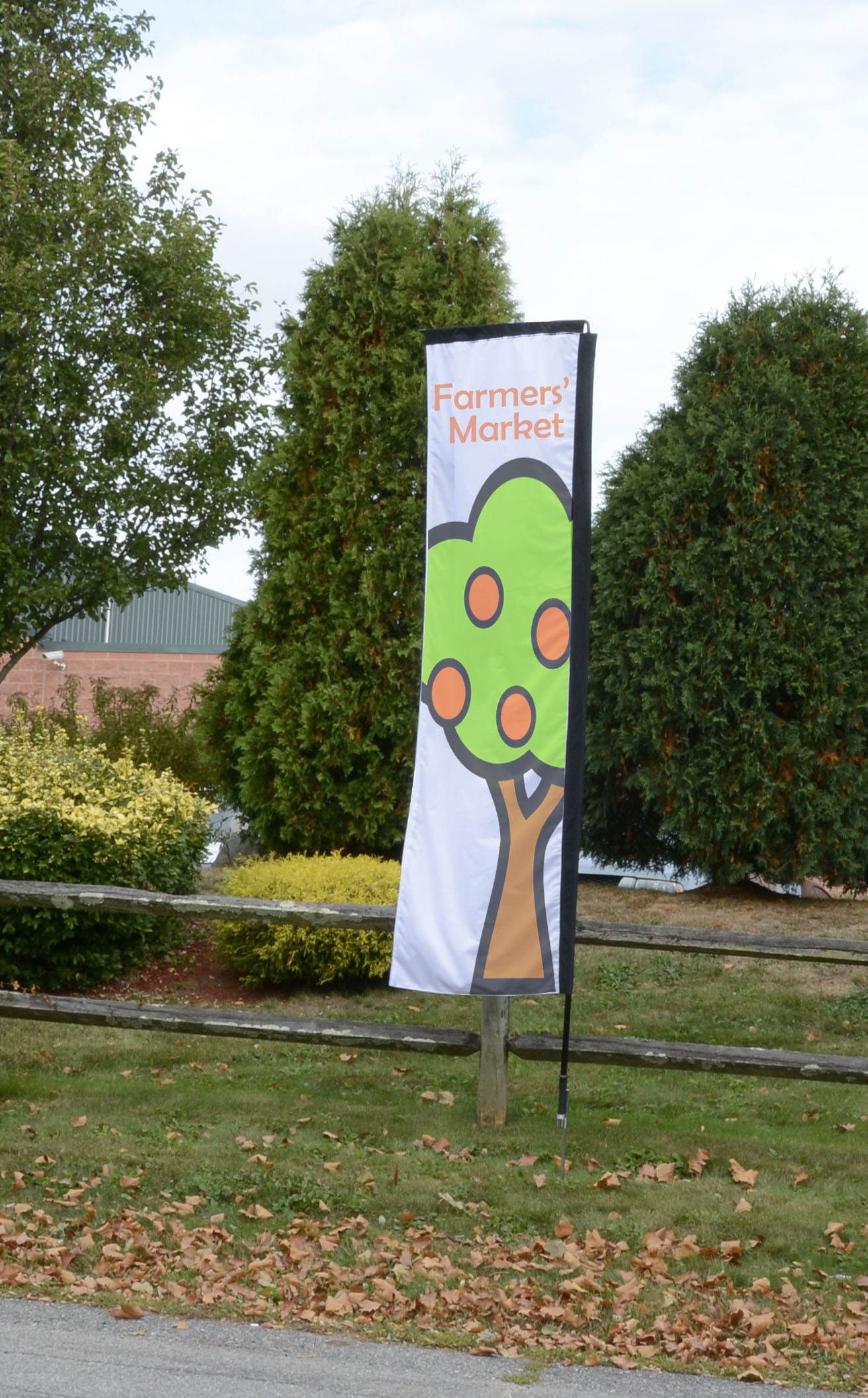 Custom Printed Banner | 9.8' Tall Flag | Displays2Go