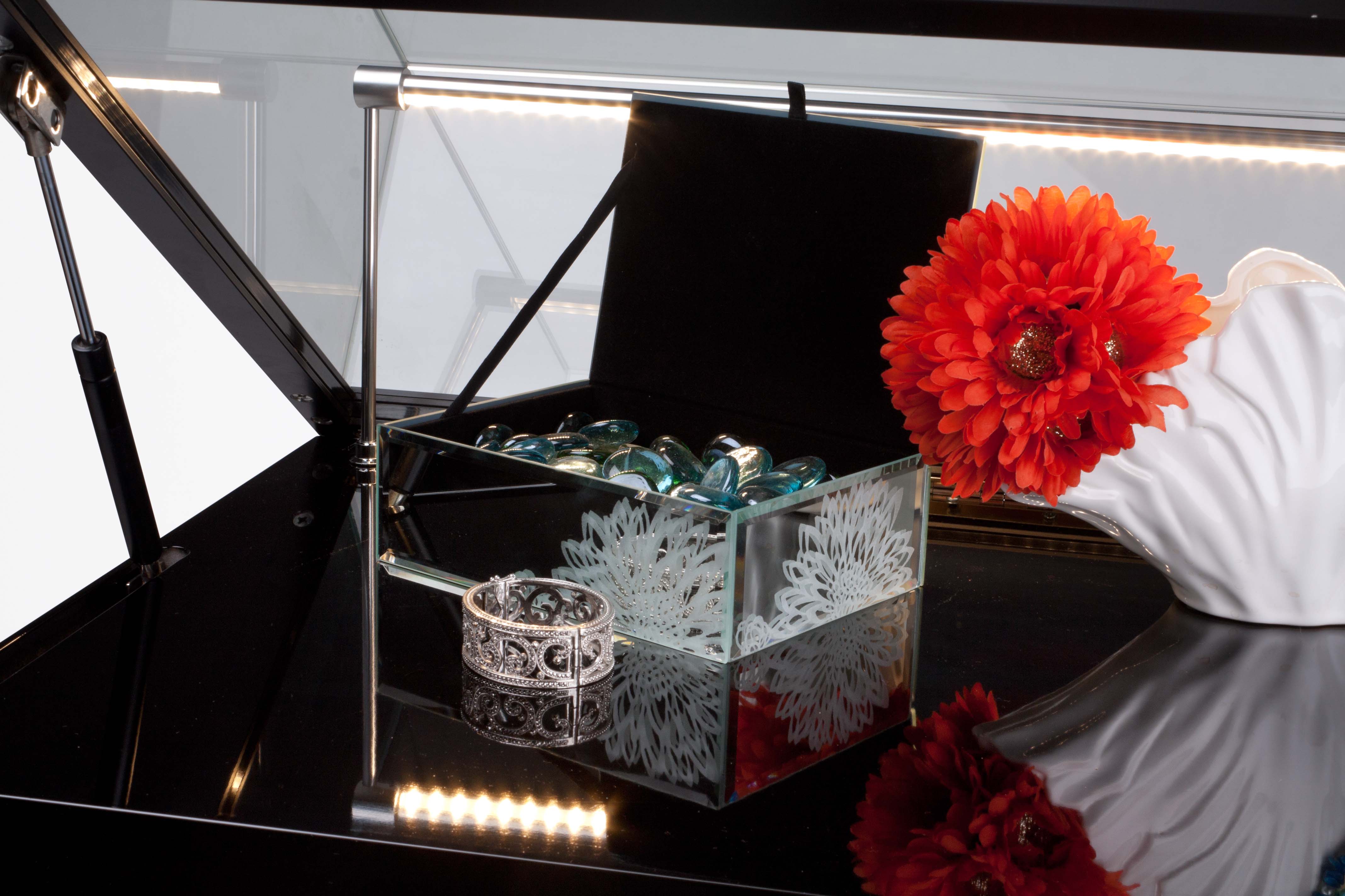 Museum Showcase | Back Lit LED Jewelry Display | Displays2Go