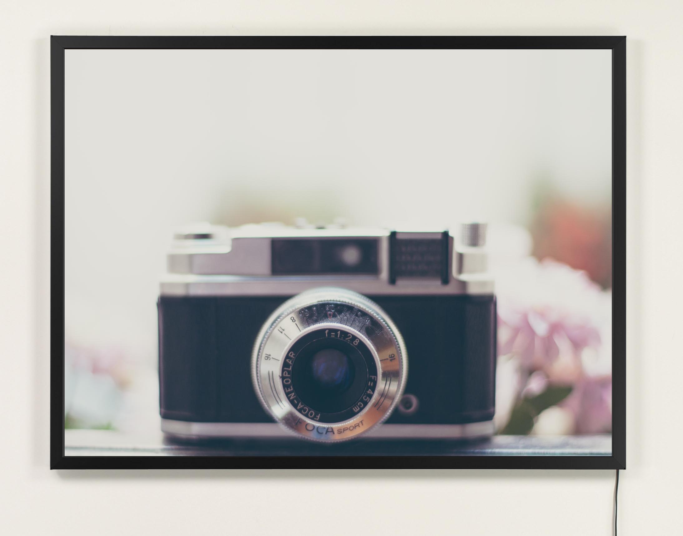 Lightboxes | Snap-Open Frames Include Chains for Window Displays | Displays2Go