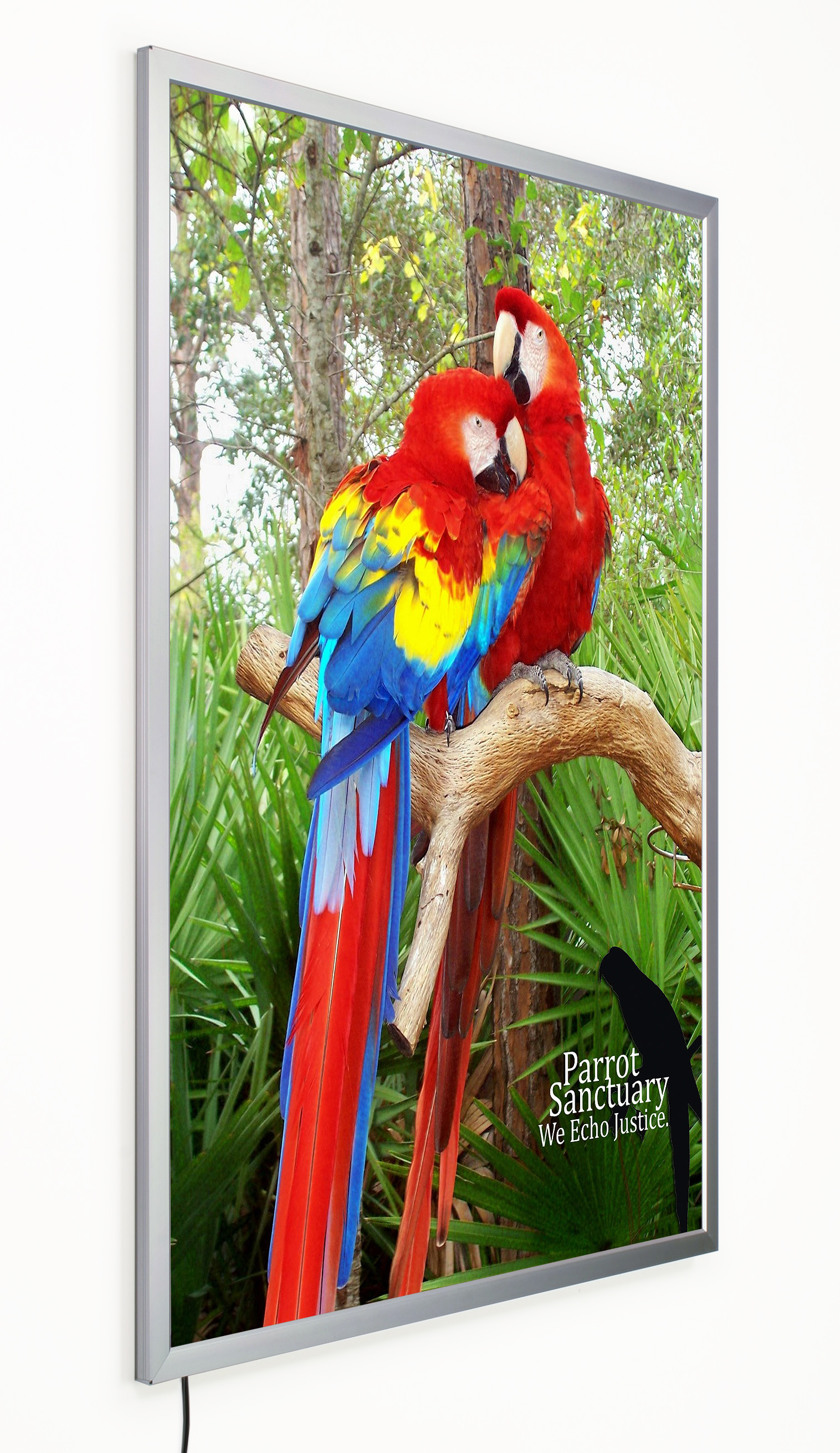 Store Window Lightbox | Single Sided 36 x 48 Poster Display | Displays2Go