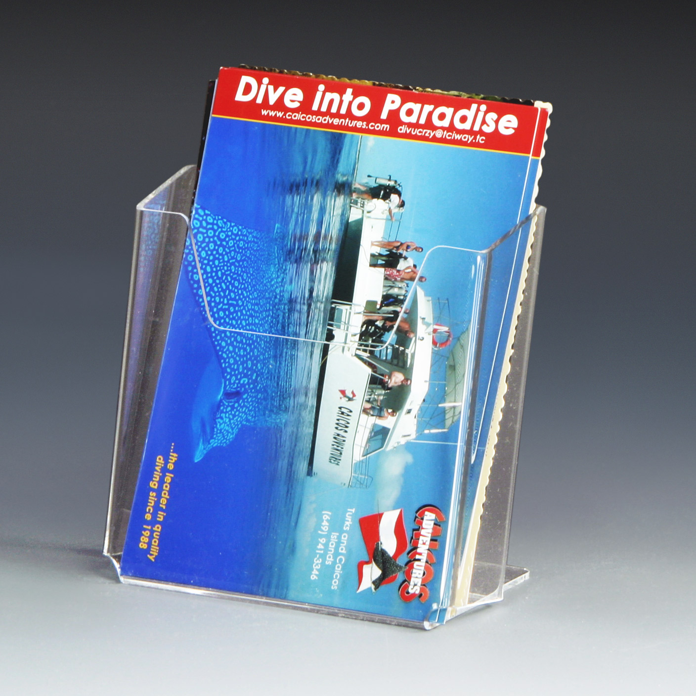 Countertop Greeting Card Holder | Vertical Clear Pocket | Displays2go Countertop Greeting Card Holder | Vertical Clear Pocket | Displays2go