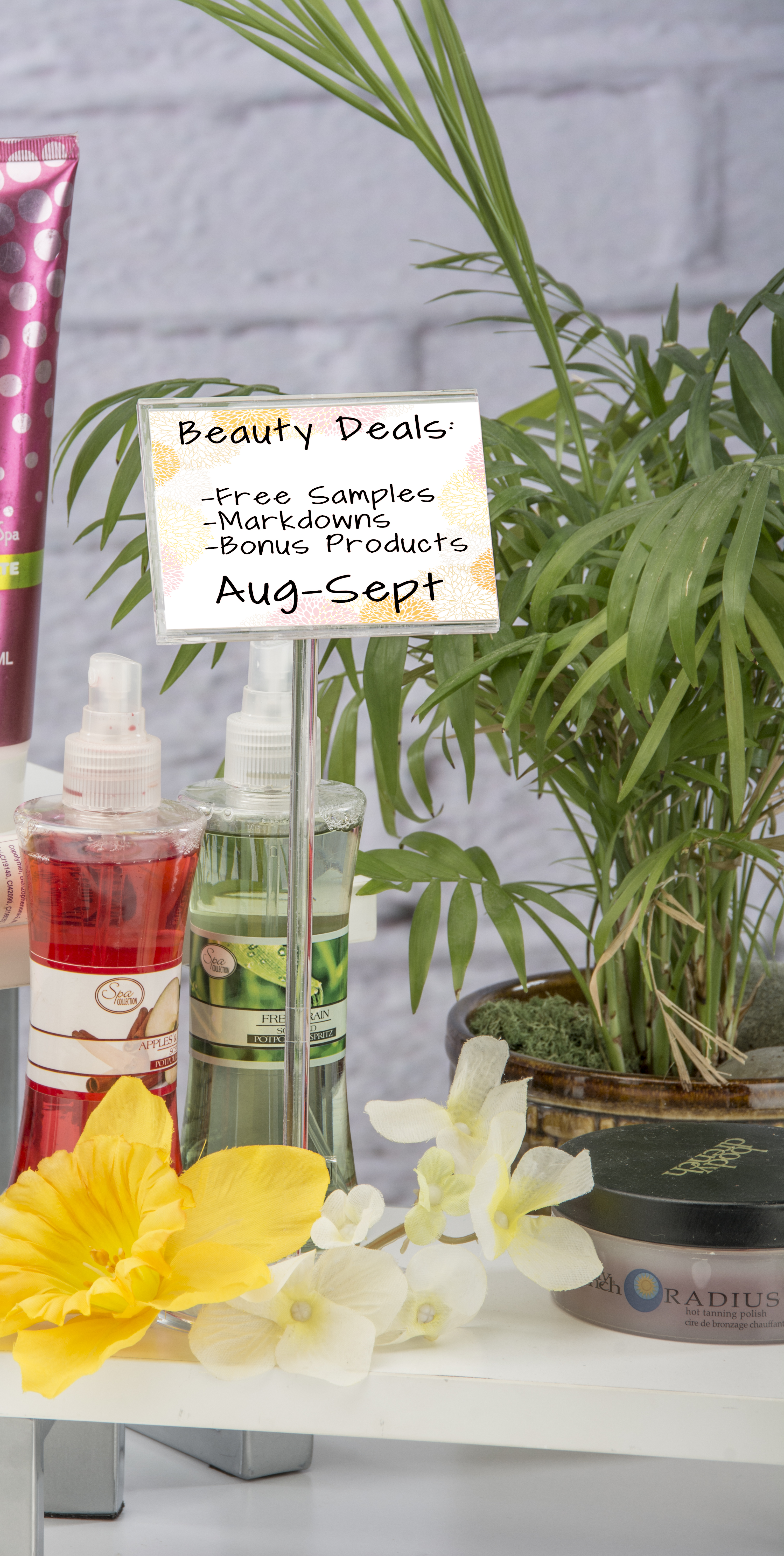 20cm Tall Small Sign Stand | for Product Labeling | Displays2Go