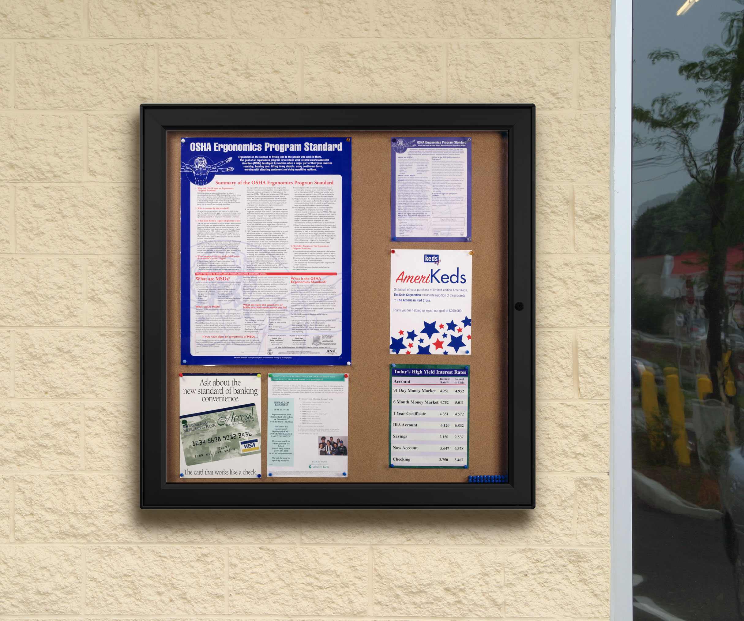 Weather Resistant Notice Boards | Black Frame w/ Lock | Displays2Go