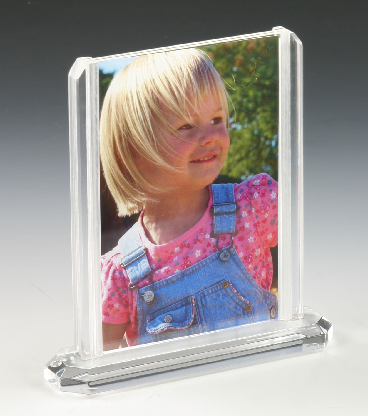 Clear Plastic Displays for Advertising 4" x 6" Menus or Specials ...
