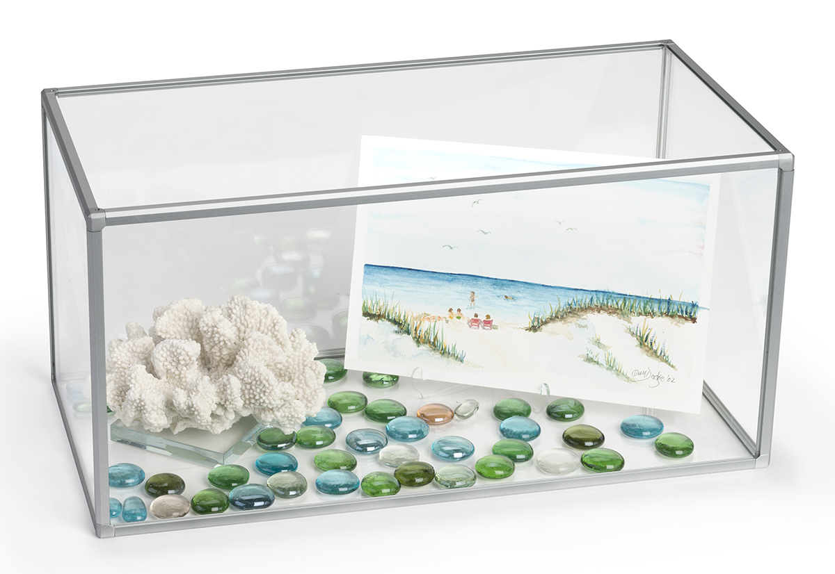 10" x 20" Acrylic Collectible Display | Silver Aluminum Frame | Displays2Go