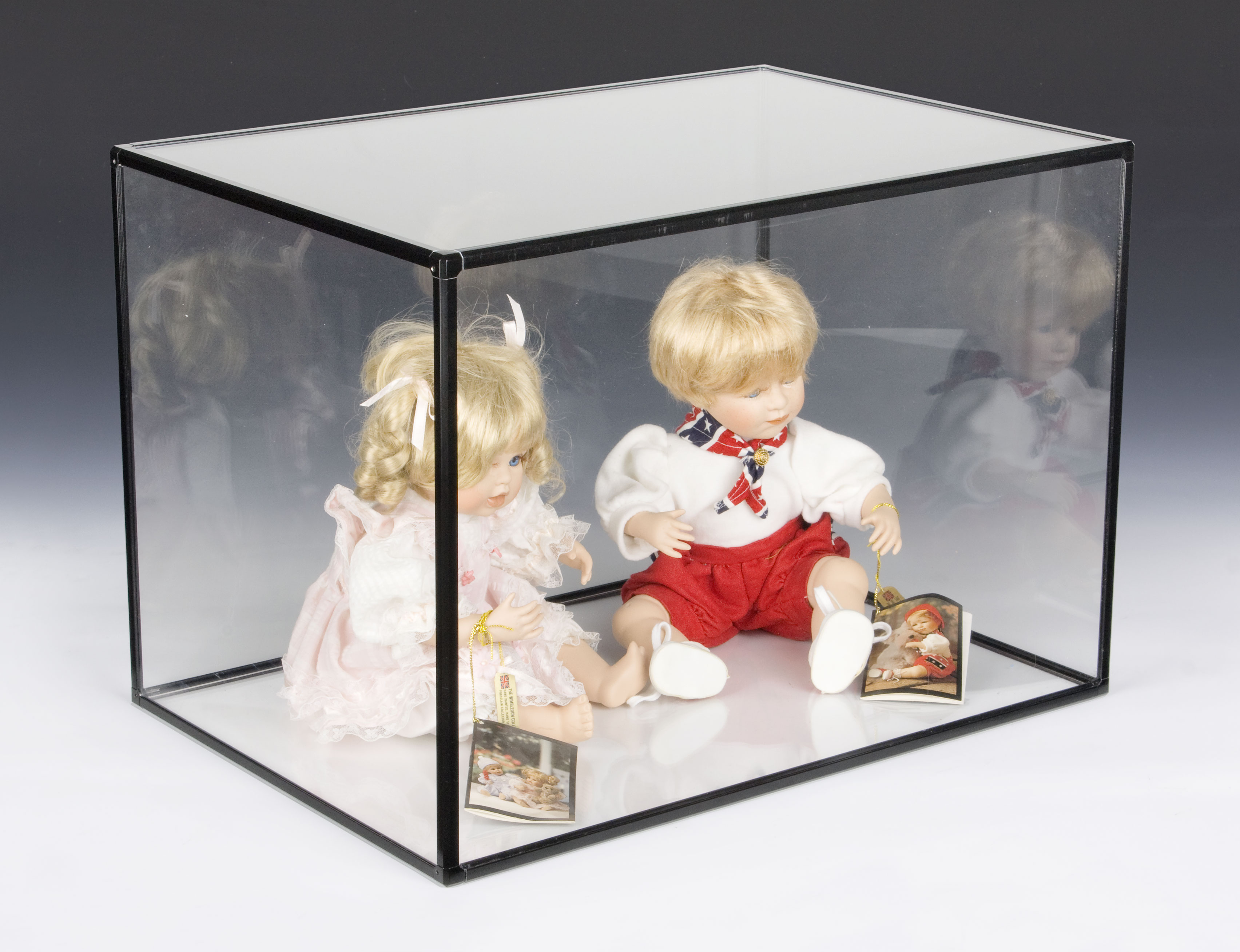 Black Acrylic Display Case | Vertical or Horizontal Orientated Stand ...