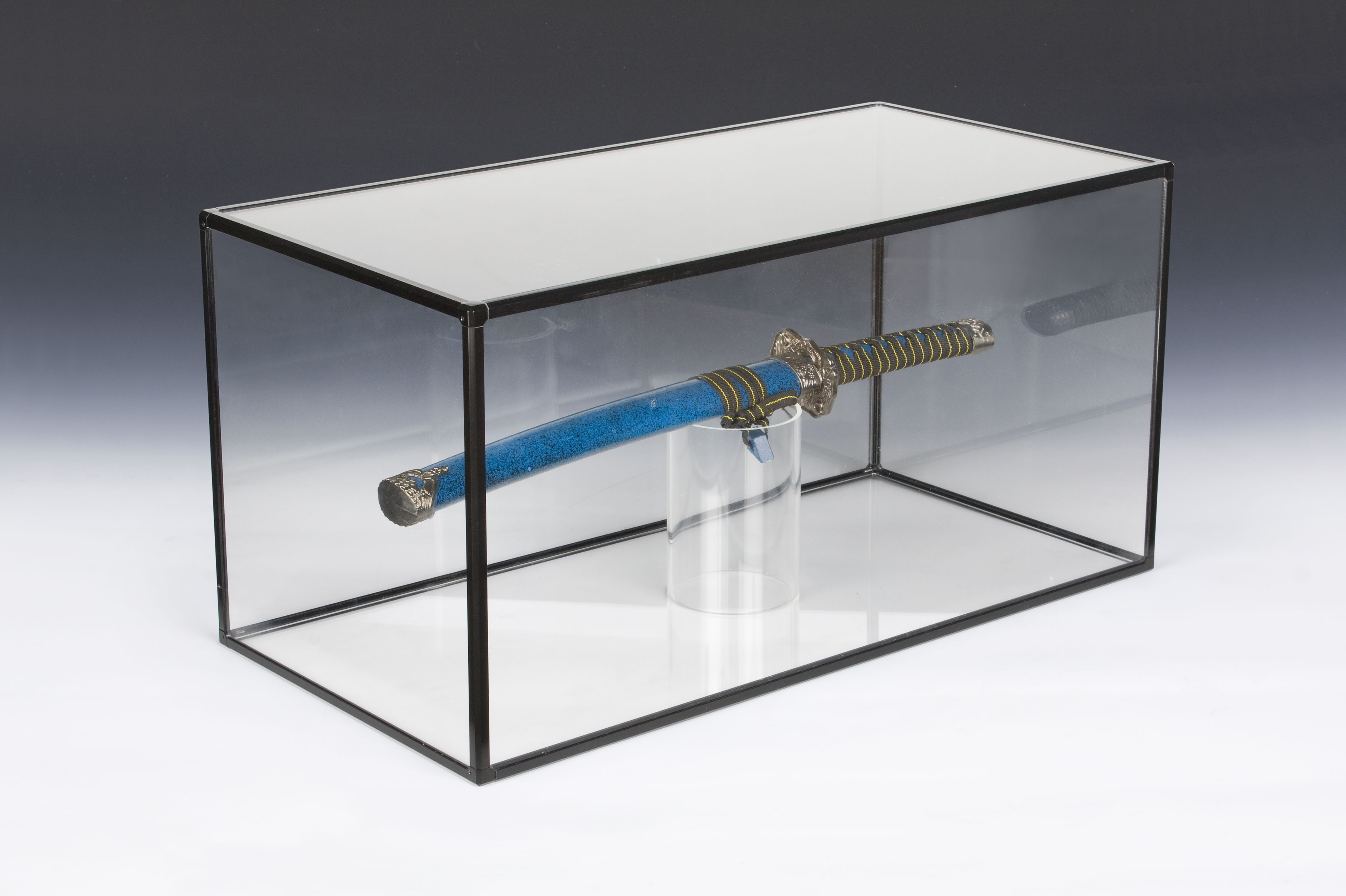 Memorabilia Display Case | Black Aluminum Framed Showcase | Displays2Go