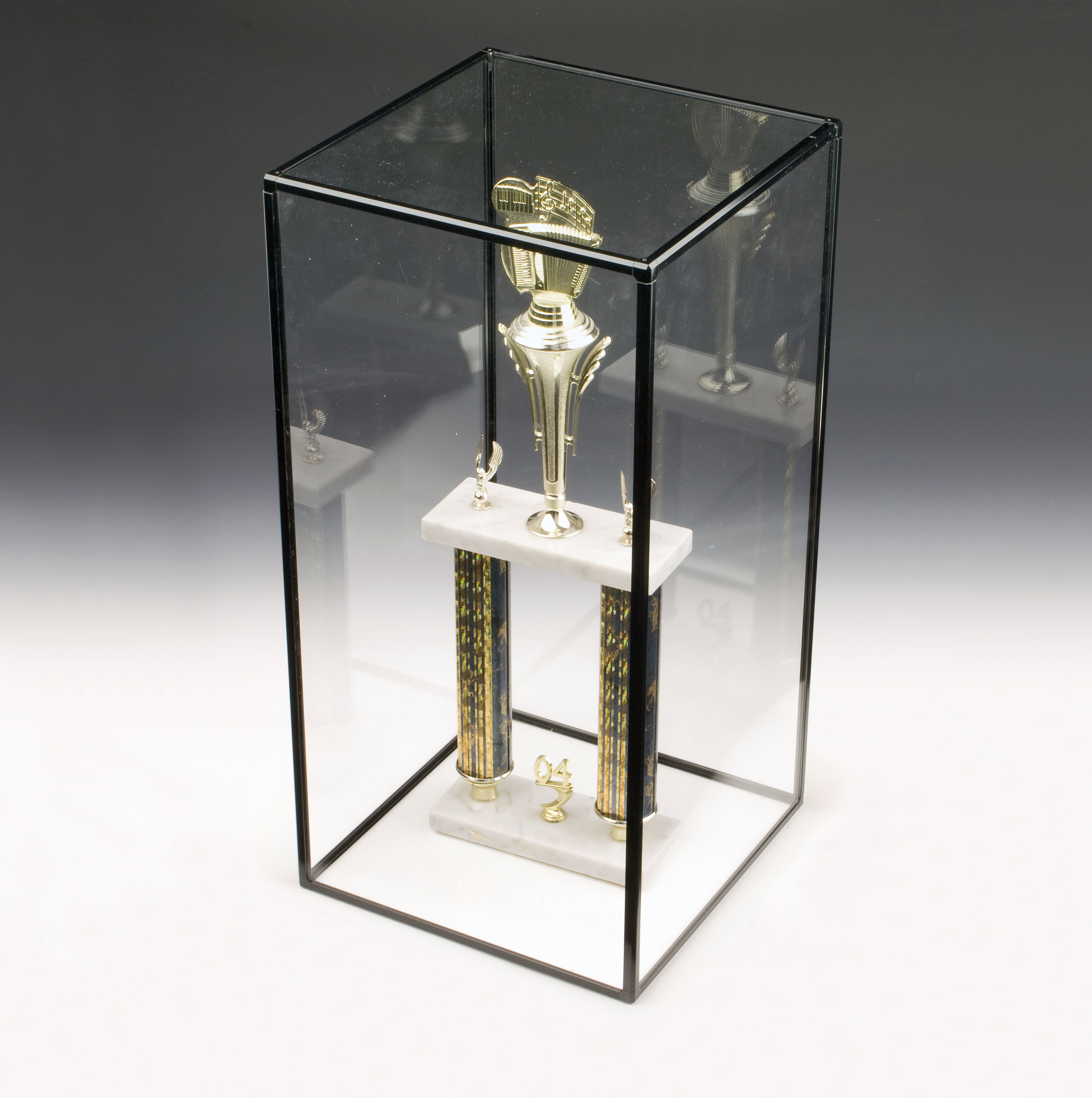 Memorabilia Display Case | Black Aluminum Framed Showcase | Displays2Go