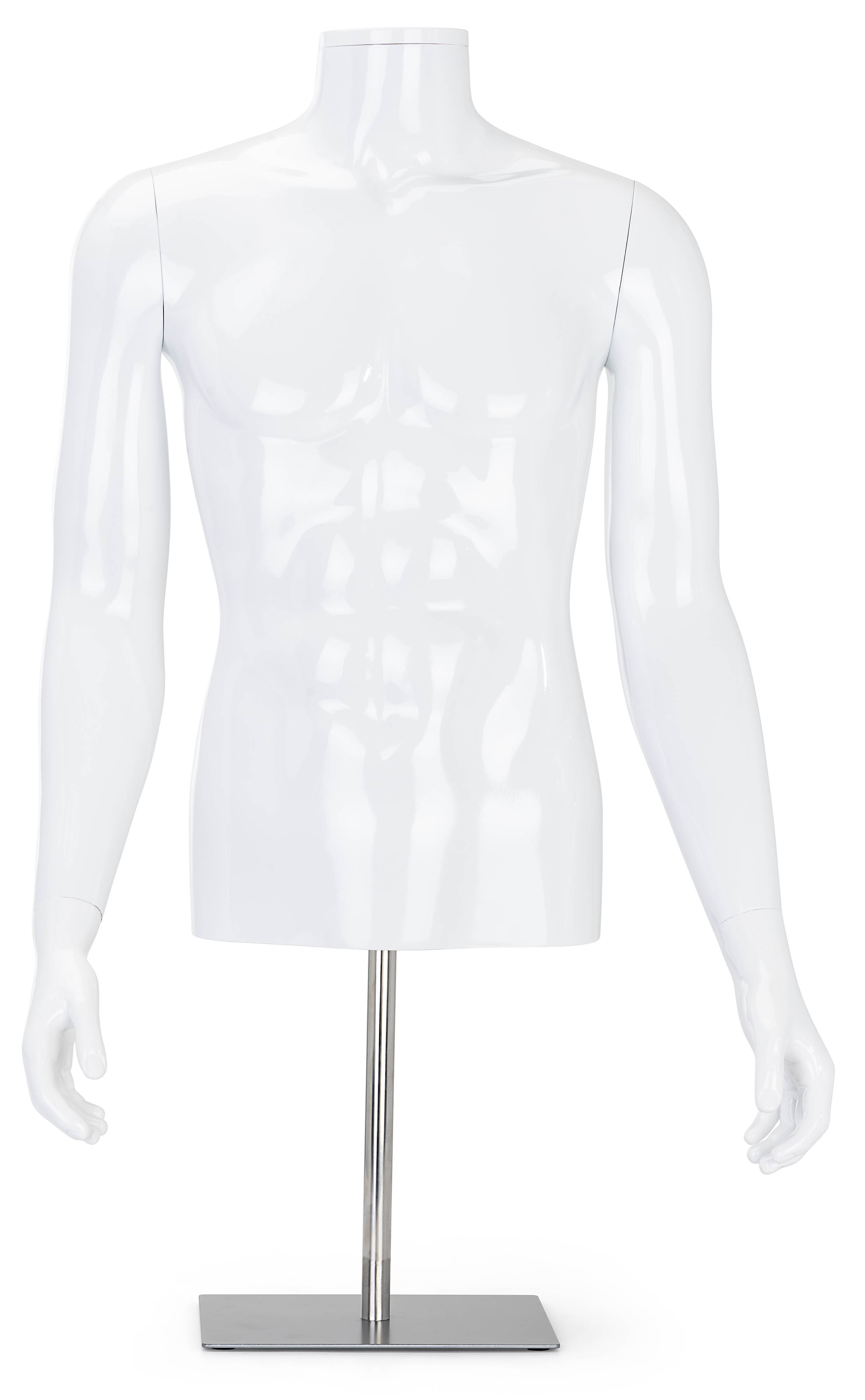 Abstract Male Display Torso | Height-Adjustable Metal Base | Displays2Go