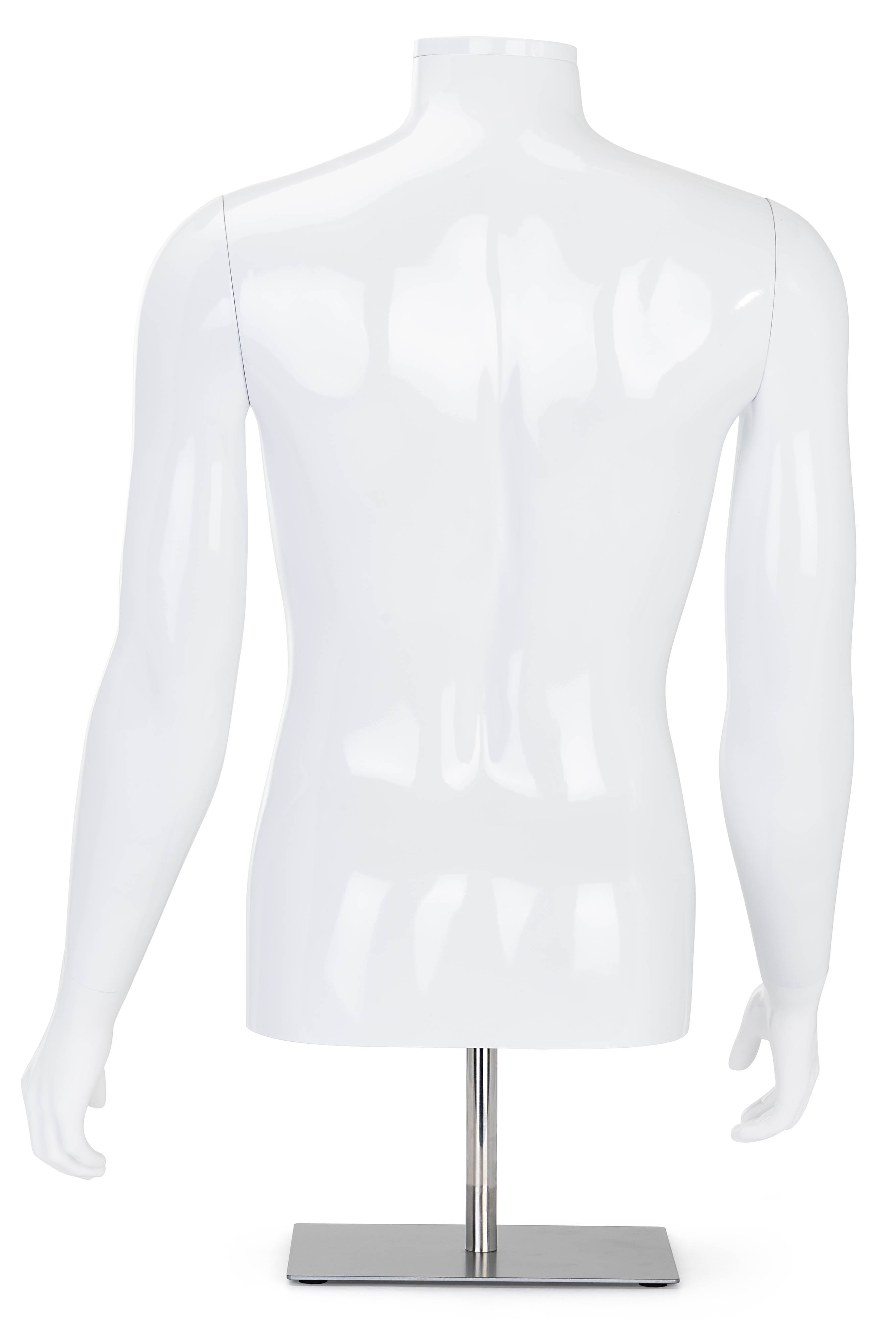 Abstract Male Display Torso | Height-Adjustable Metal Base | Displays2Go