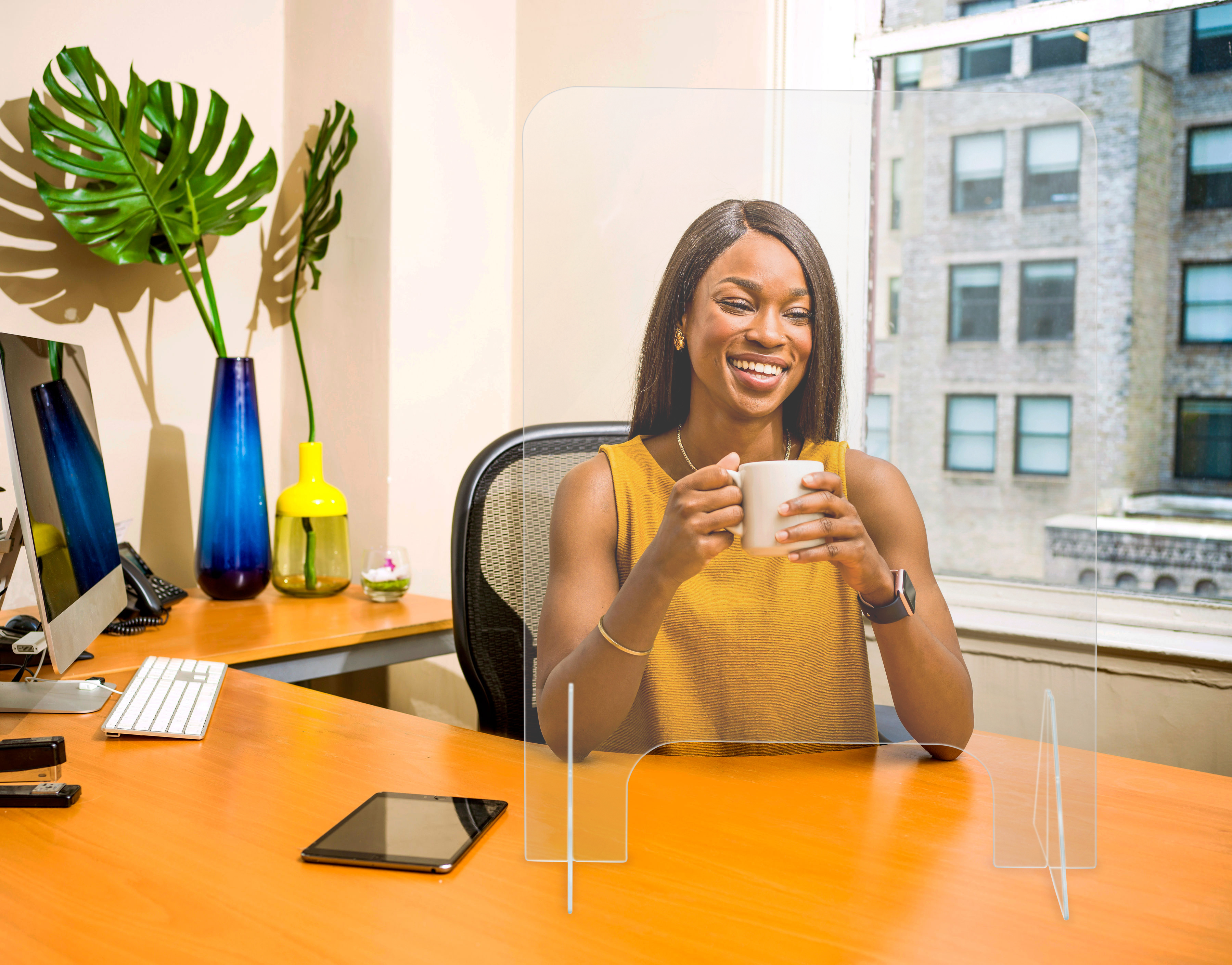 Polycarbonate Splash Shield | Countertop Placement Style | Displays2Go