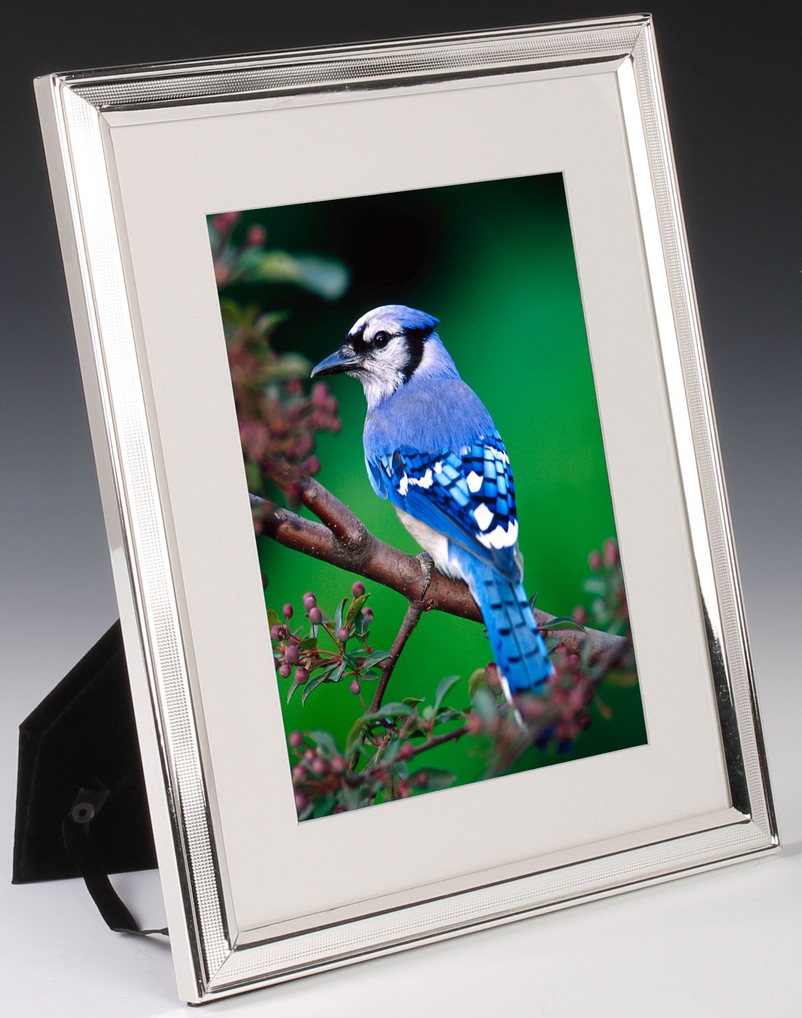 Silver Plated Frames | 5 x 7 Photo Holders | Displays2Go