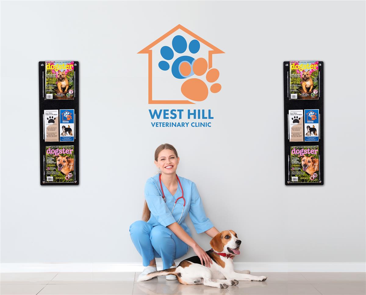 Wall Mounted Acrylic Literature Display | Multi-Pocket Dividers