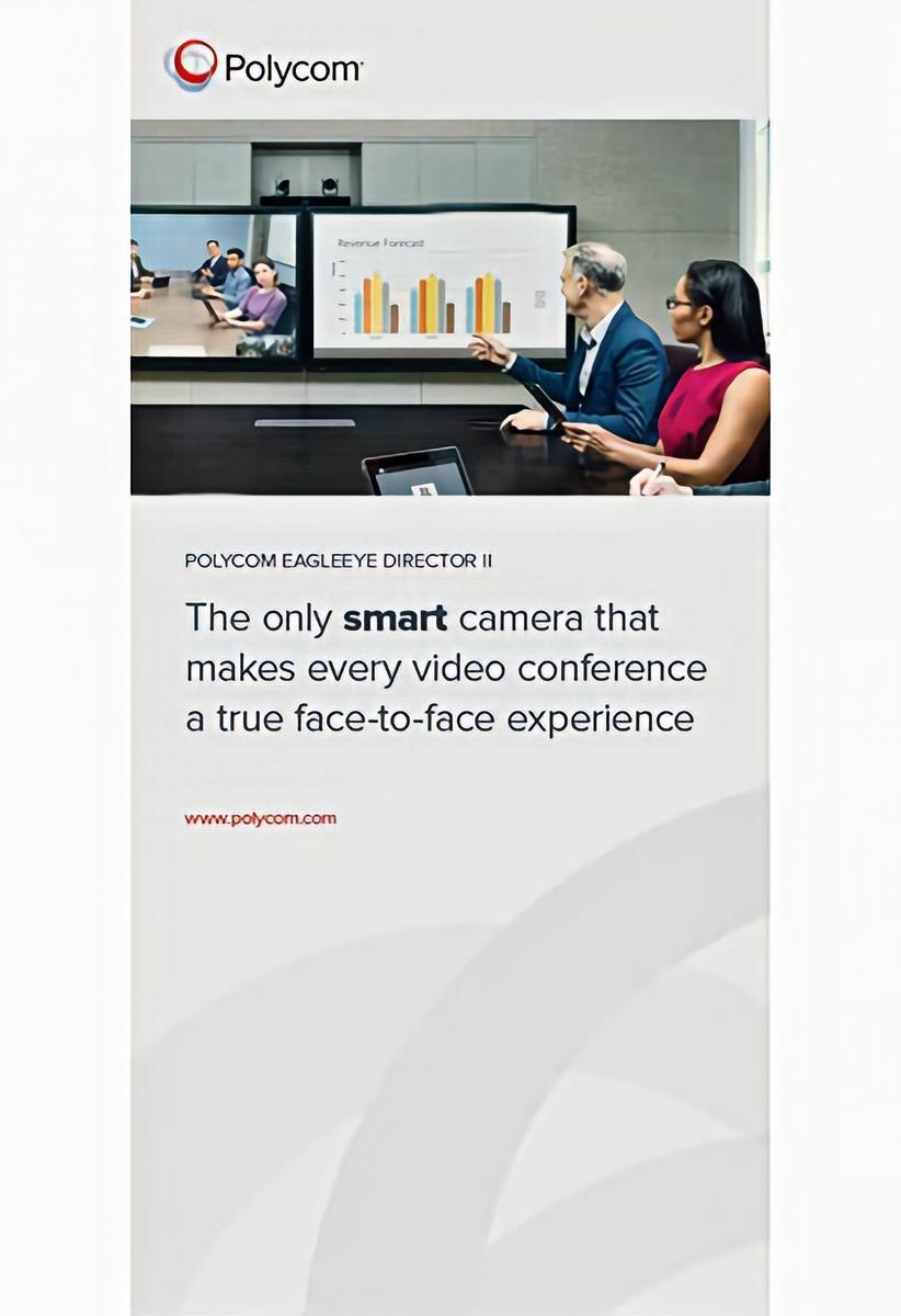 Polycom Eagle Eye Director II Banner-39"x80" Narrow Base Stand-V