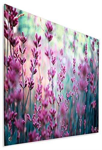 Lavender Acrylic Panel Print | 36” x 24” Wall Art