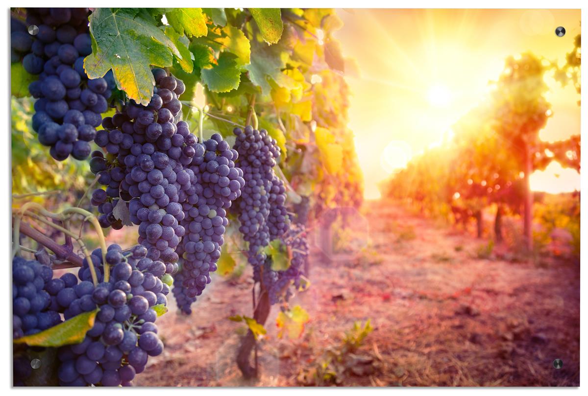 Wine Themed Art | UV Printing