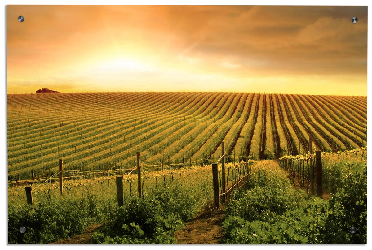 Landscape Photography Wall Art | Included Mounting Hardware