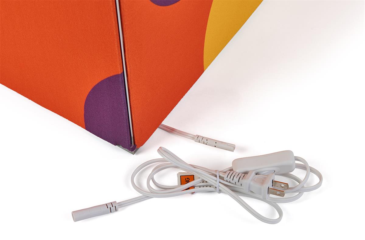 Illuminated 24” Cube with Custom Printed SEG Graphics