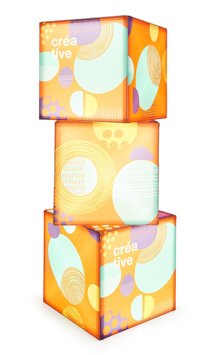 Illuminated 24” Cube with Custom Printed SEG Graphics