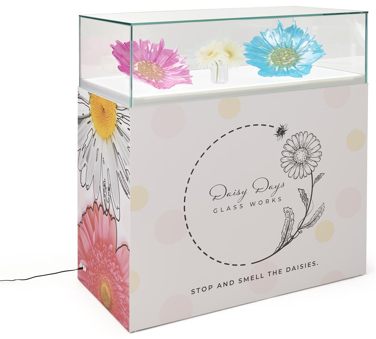 Replacement Graphic for DCPHZDC Exhibit Showcase