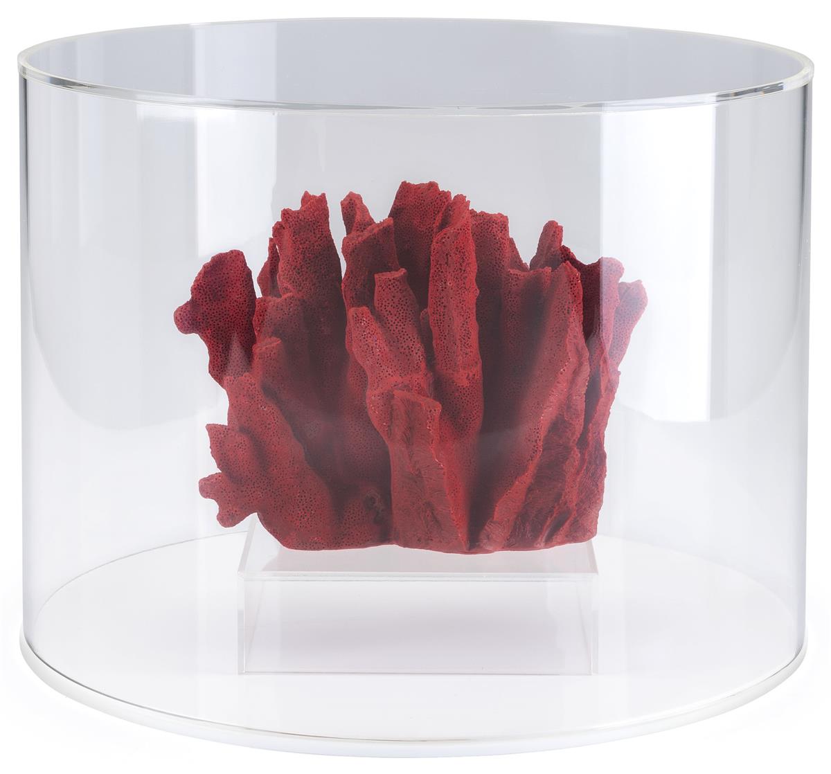 Acrylic Round Countertop Display Case | Clear Lift-Off Top