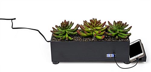 Black Succulents Charging Station Planter | 4-Port USB Hub