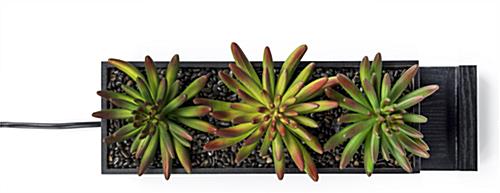 Black Succulents Charging Station Planter | 4-Port USB Hub