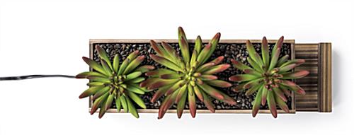 Plastic Succulents Decorative Charging Planter | 4-Port USB Hub