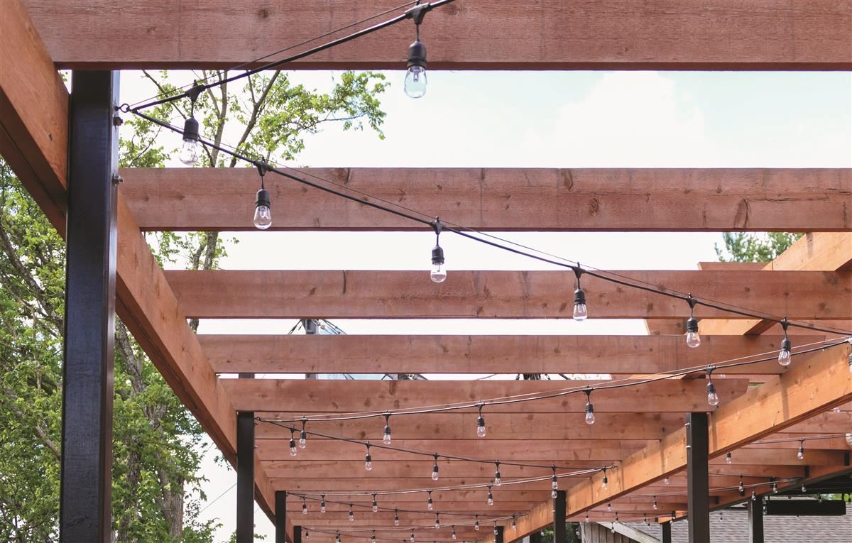 S14 String Lights | Weatherproof Design in 50ft or 100ft Strands