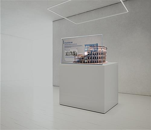 LG Transparent OLED Signage | 55" See Through Screen Display