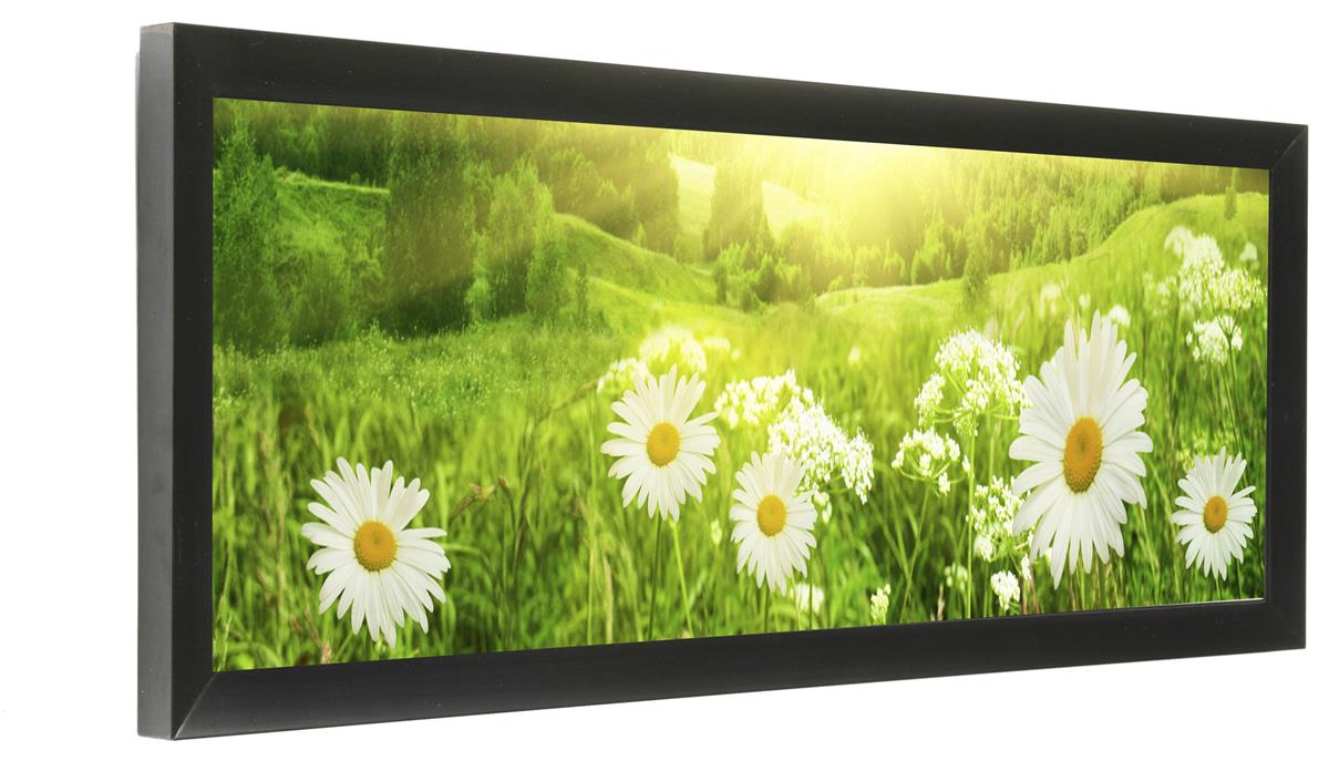 24 X 8 Panoramic Photo Frame Wall Mount Rear Loading