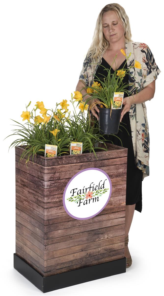 Custom Cardboard Dump Bin Rustic | Pre-Printed Faux Wood Exterior